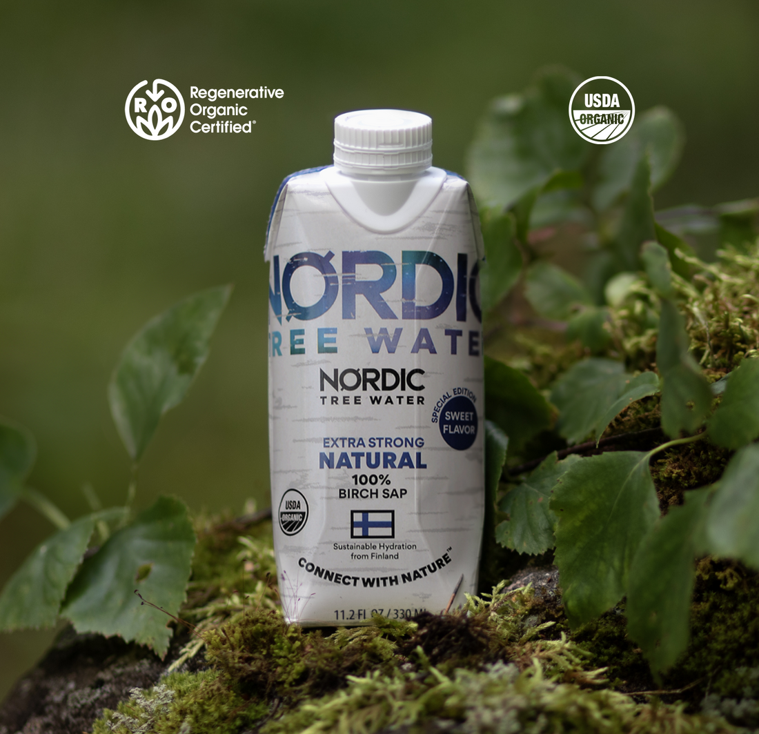Buy Birch Sap Water Online – Refreshing Birch Water by Nordic Organic
